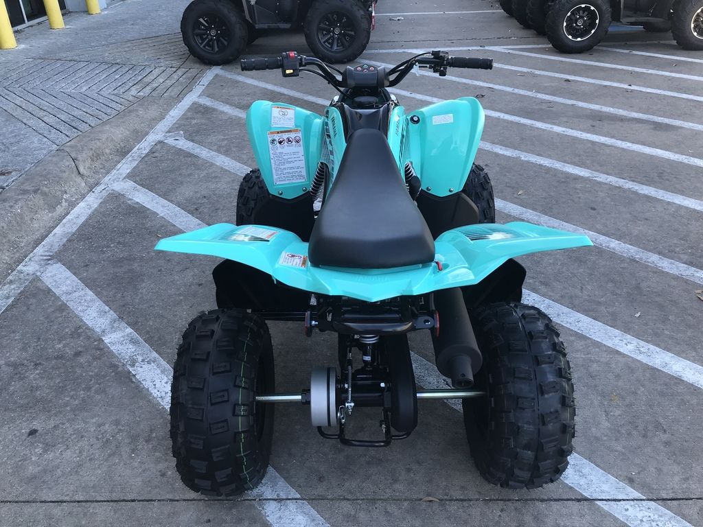 2024 YAMAHA RAPTOR 110 For Sale In (Dallas), (TX) 3599 | RumbleOn